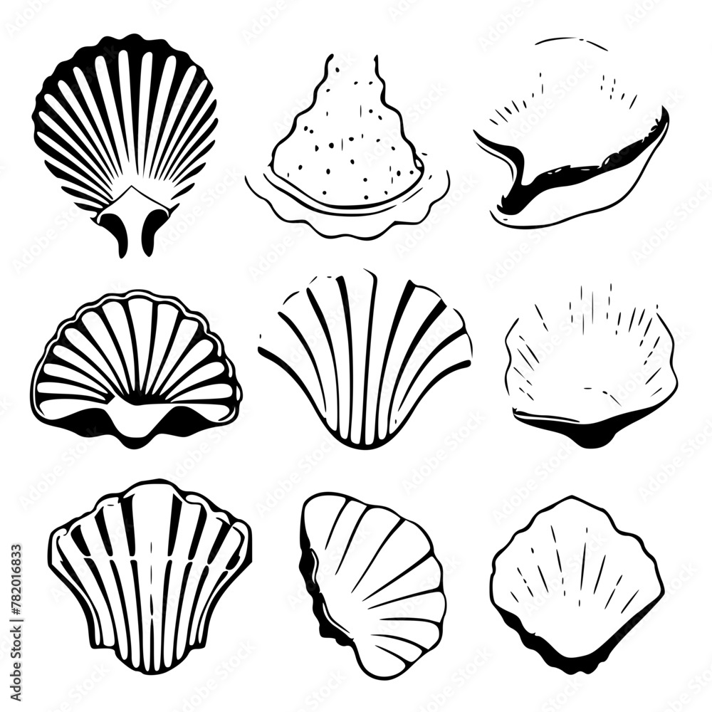 Seashells svg, Seashell svg file, Ocean svg, Marine, Clipart, Seashell ...