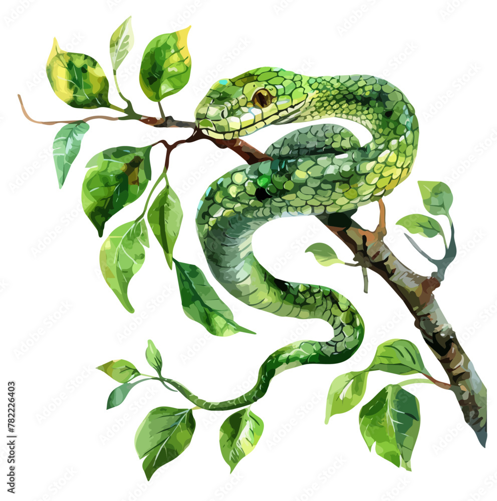 Watercolor painting vector of a snake on tree, isolated on a white ...