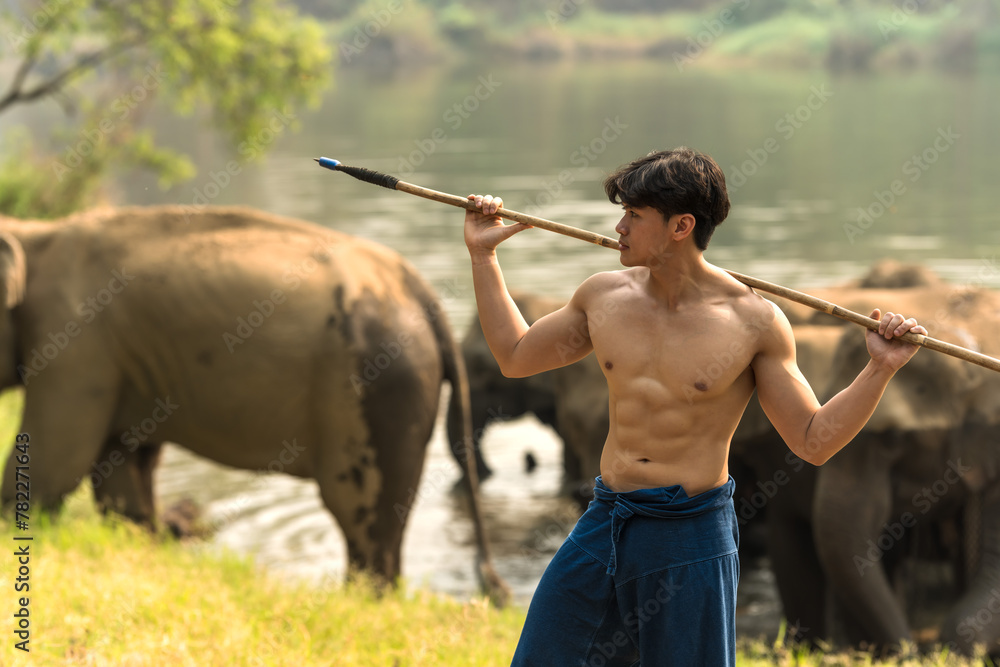 Handsome shirtless young Thai mahout holding spear weapon controlling ...