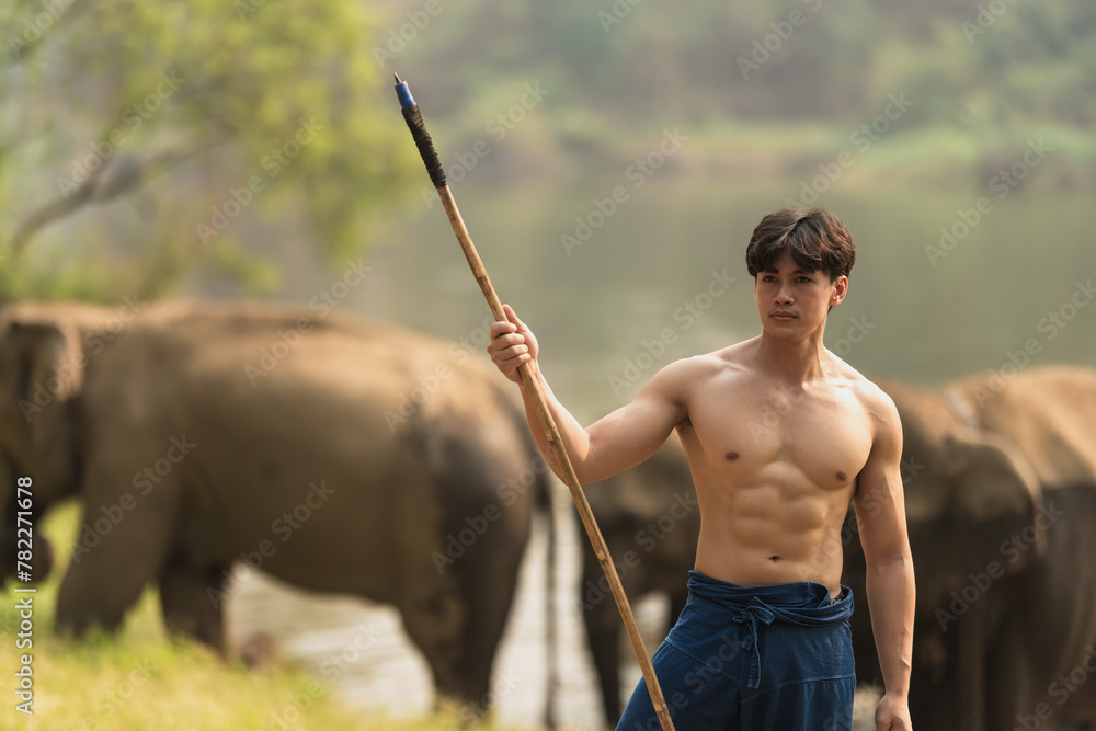 Handsome shirtless young Thai mahout holding spear weapon controlling ...