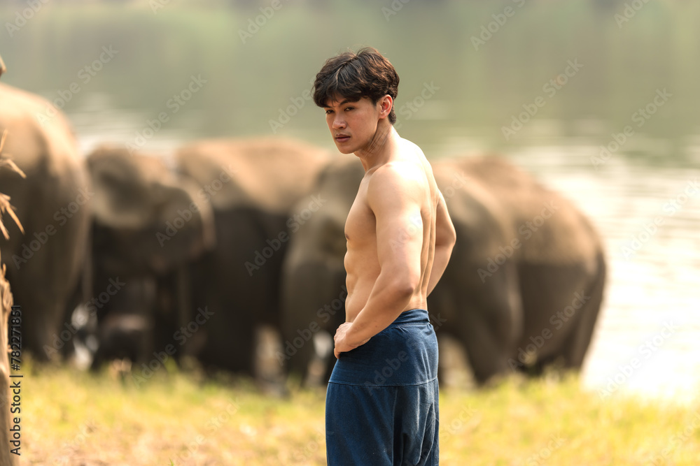 Handsome shirtless young Thai mahout holding spear weapon controlling ...