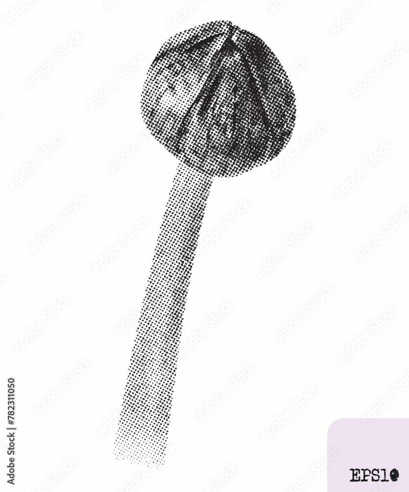 Buttercup flower. Spring plant. Graphic ink drawing, pointillism ...