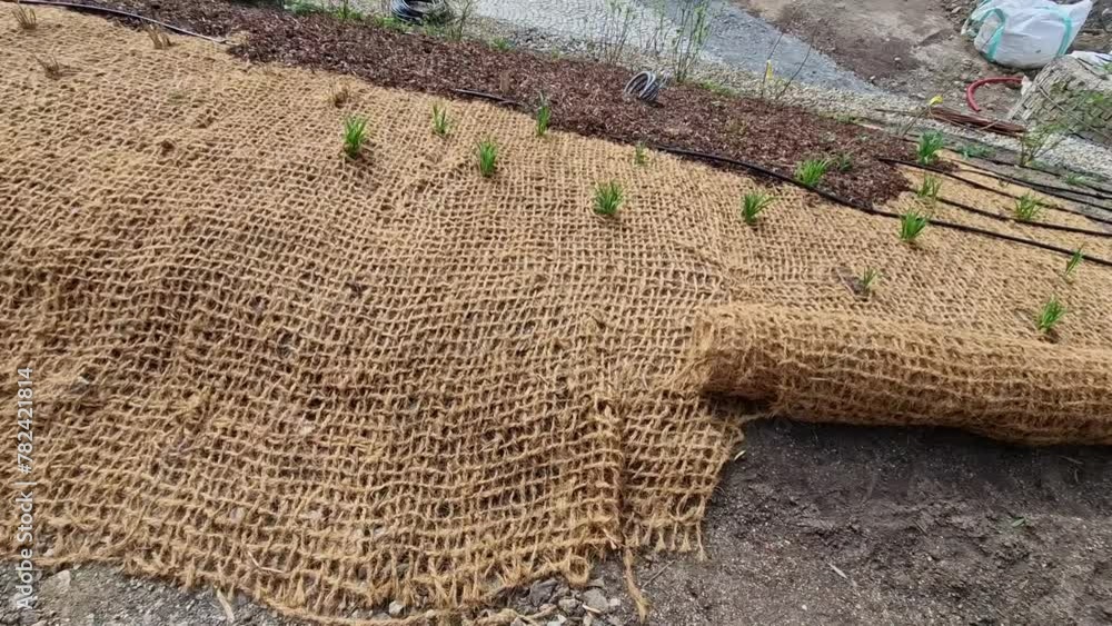 temporary covering of lawn sowing with textiles to ensure a large slope ...