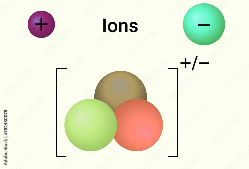 An atom or a group of atoms that carries positive or negative charge is ...
