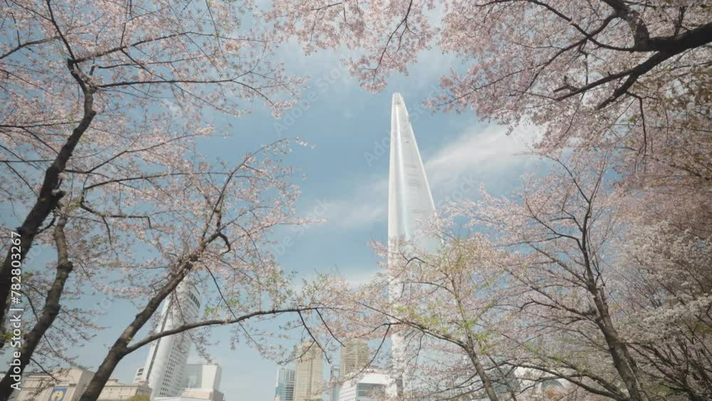 Lotte World Tower View Through Blooming Pink Cherry Tree Branches at ...