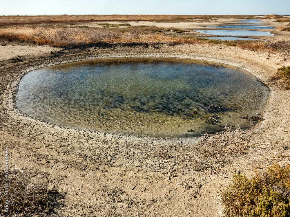 Subsidence funnels on salt marsh are filled with lakes of diverse ...