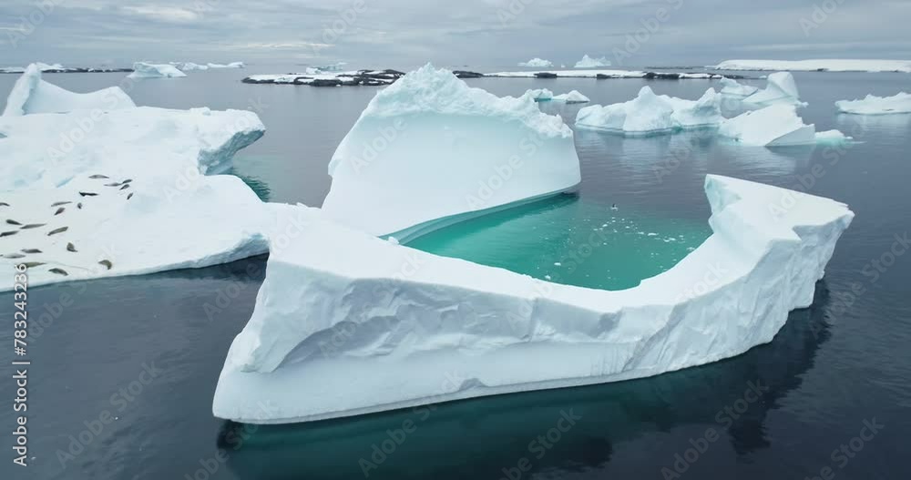 Antarctica wildlife nature landscape aerial panorama. Huge melting ...
