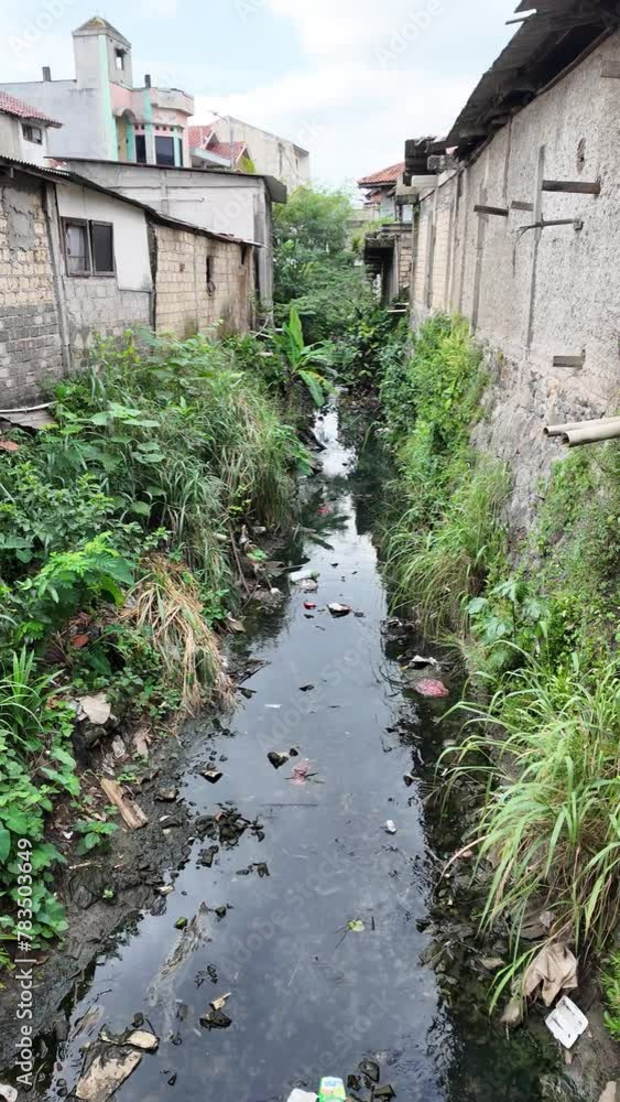 The video starkly portrays a polluted water body choked with trash ...