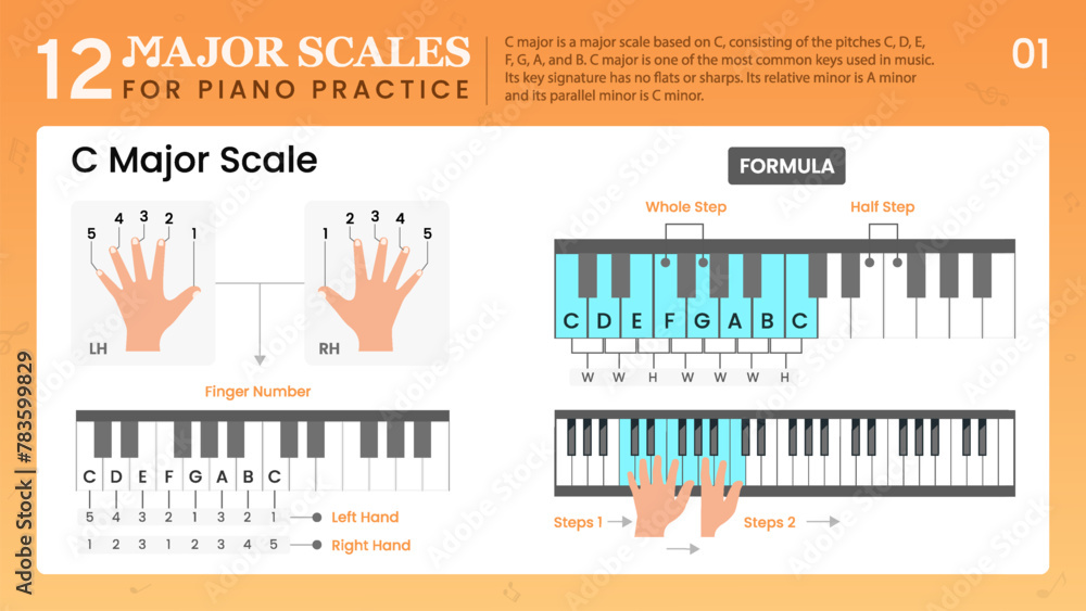 C Major Scale, Visual Guide Essential Music Theory for Piano Stock ...