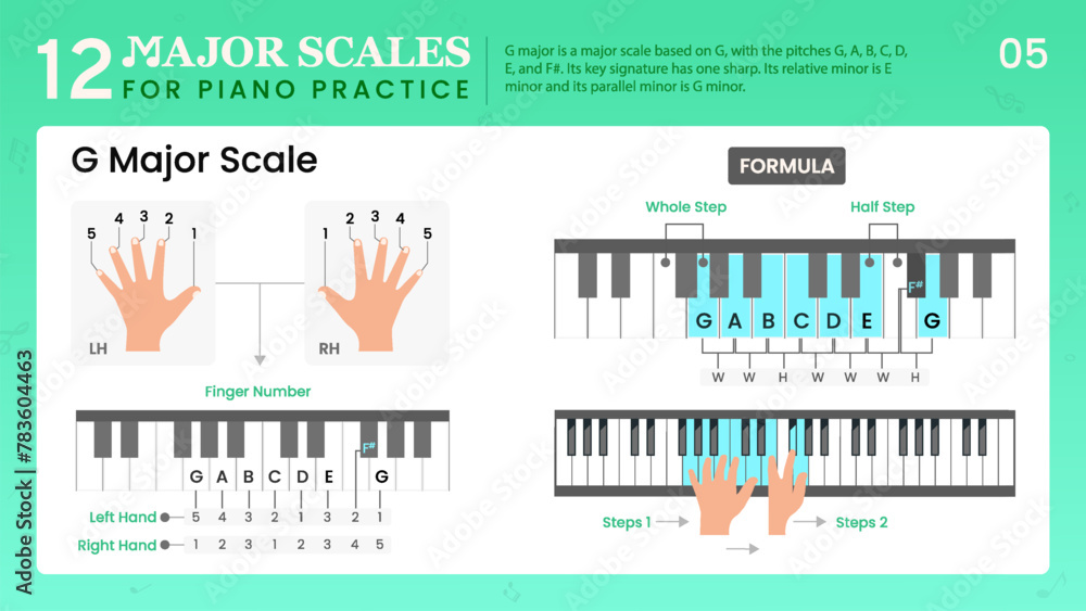 G Major Scale Visual Guide Essential Music Theory for Piano Stock ...