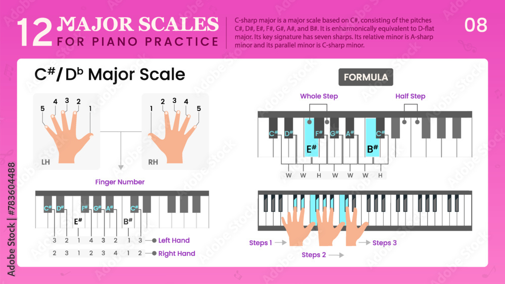 C Sharp Major Scale or D Flat Major, Visual Guide Essential Music ...