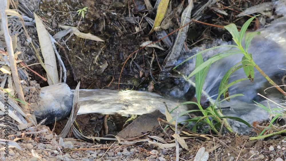 PVC pipe pumping water into green fields in Irrigation water flow from ...