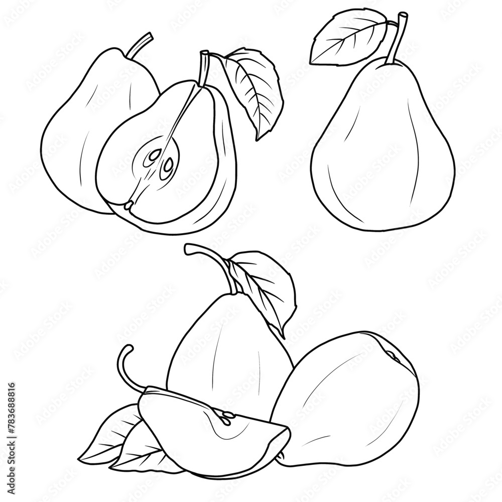 Vector drawing Illustration Hand drawn ink sketch of Pear Fruit, Half ...
