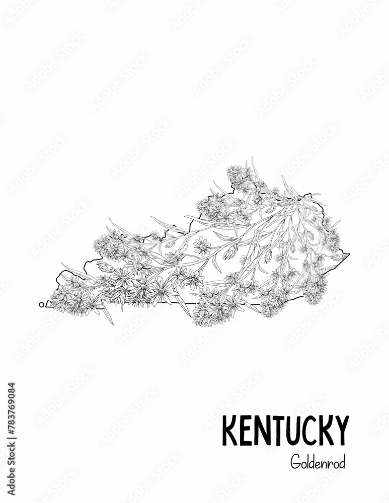 State Coloring Page, Kentucky coloring page, Flowers, State Flower ...