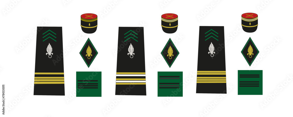 Poster Ensemble Des Galons De L Armée De Terre Française Légion