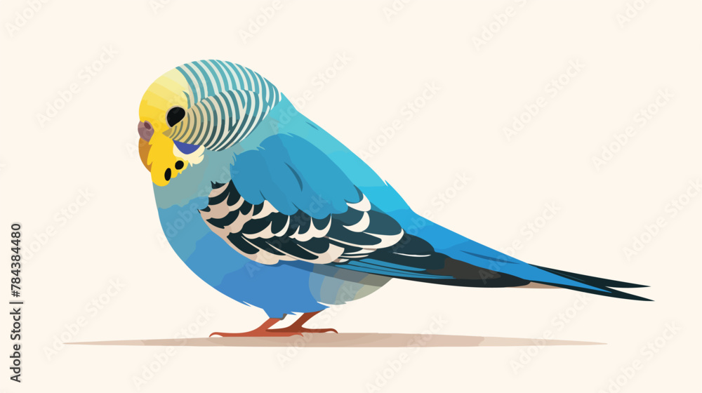 Budgie Clipart 2d flat cartoon vactor illustration Stock Vector | Adobe ...