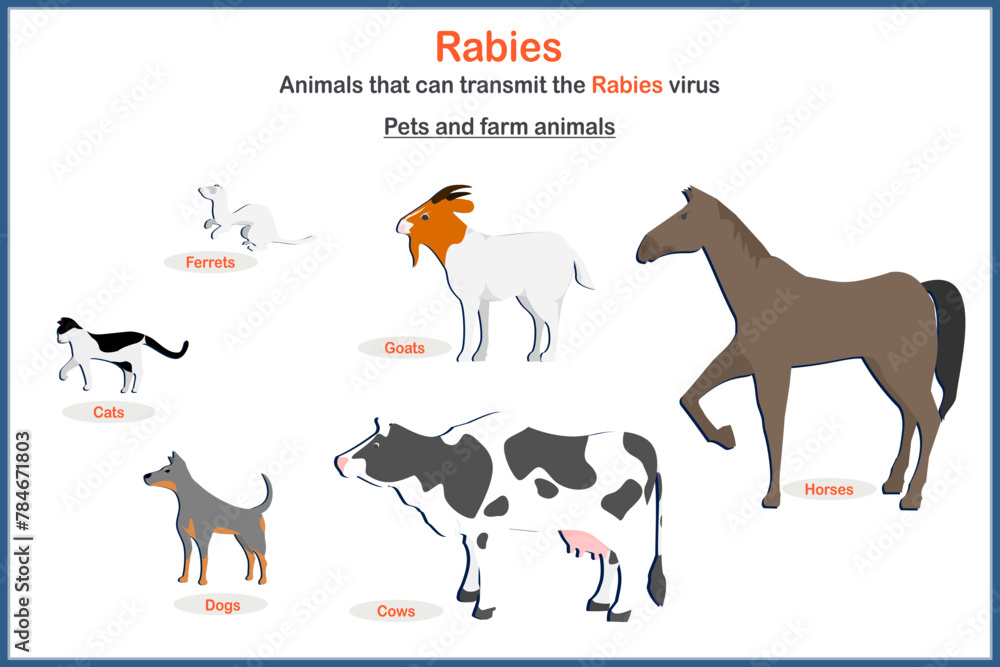 Medical vector illustration in flat style. The concept of rabies ...