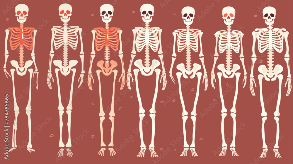 Vector human Skeleton bones 2d flat cartoon vactor Stock Vector | Adobe ...