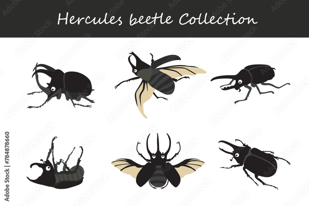 hercules beetle collection. Vector illustration. Isolated on white ...