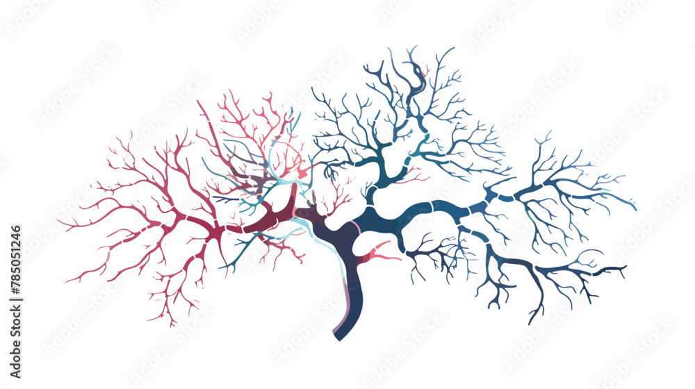 Brain neuron cell diagram. Vector illustration. Vector Stock Vector ...
