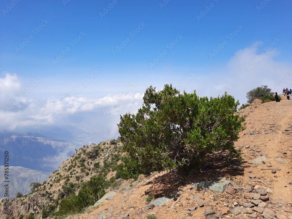 Mesmerizing natural beauty of Abha in Saudi Arabia in the summer season ...
