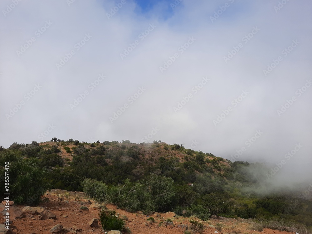 Mesmerizing natural beauty of Abha in Saudi Arabia in the summer season ...