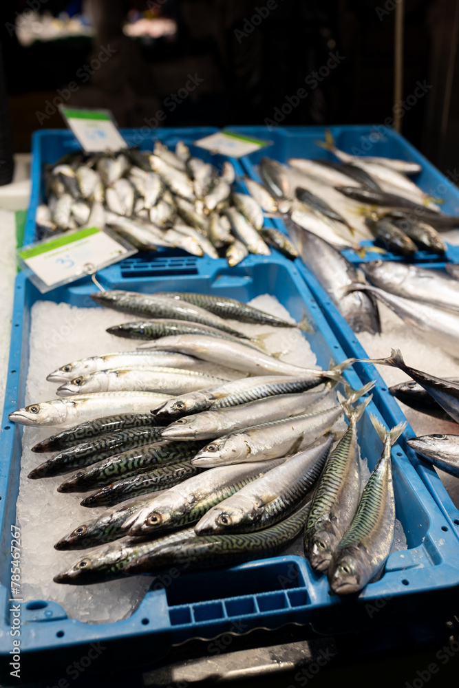 Raw Fresh mackerel fish in The Market. Scomber scombrus. Sale at the ...