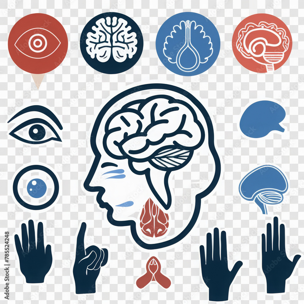 Human 5 five senses icons png. Humans five senses, sight, hearing ...