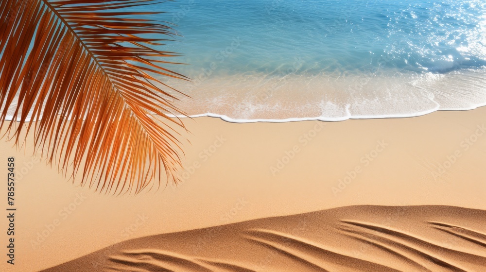 Tropical vacation vibe coconut leaf shadow on sandy beach summer and ...