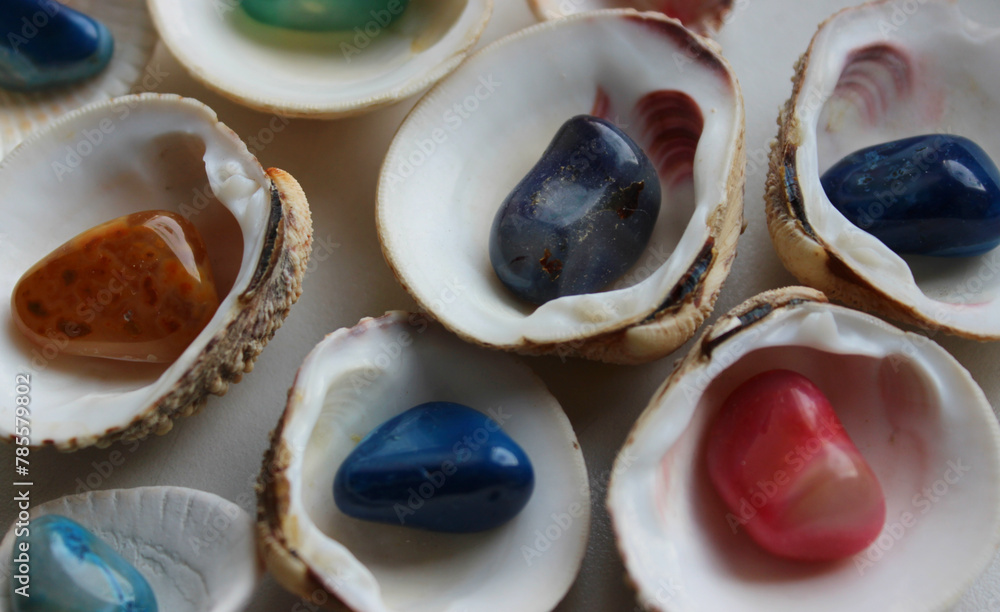 Inner Part Of Sea Shells With Colorful Minerals Inside Textured ...