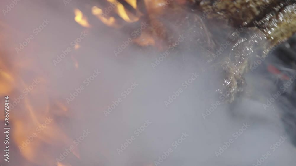 Roast meat with fire flames. Beef steak on grill with flames. Meat ...