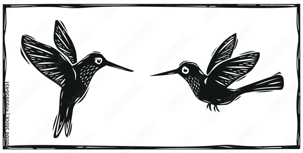 Hummingbird (colibri) couple hand-drawn in the woodcut style of the ...