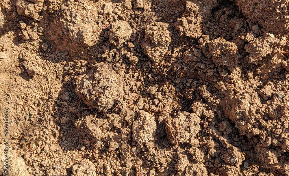 Texture of the soil. Ground as texture. Soil texture background. Dry ...