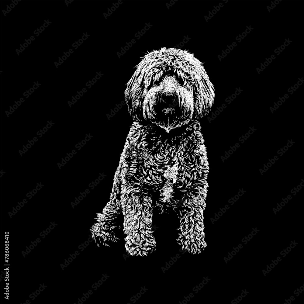 Petite Goldendoodle hand drawing vector isolated on black background ...