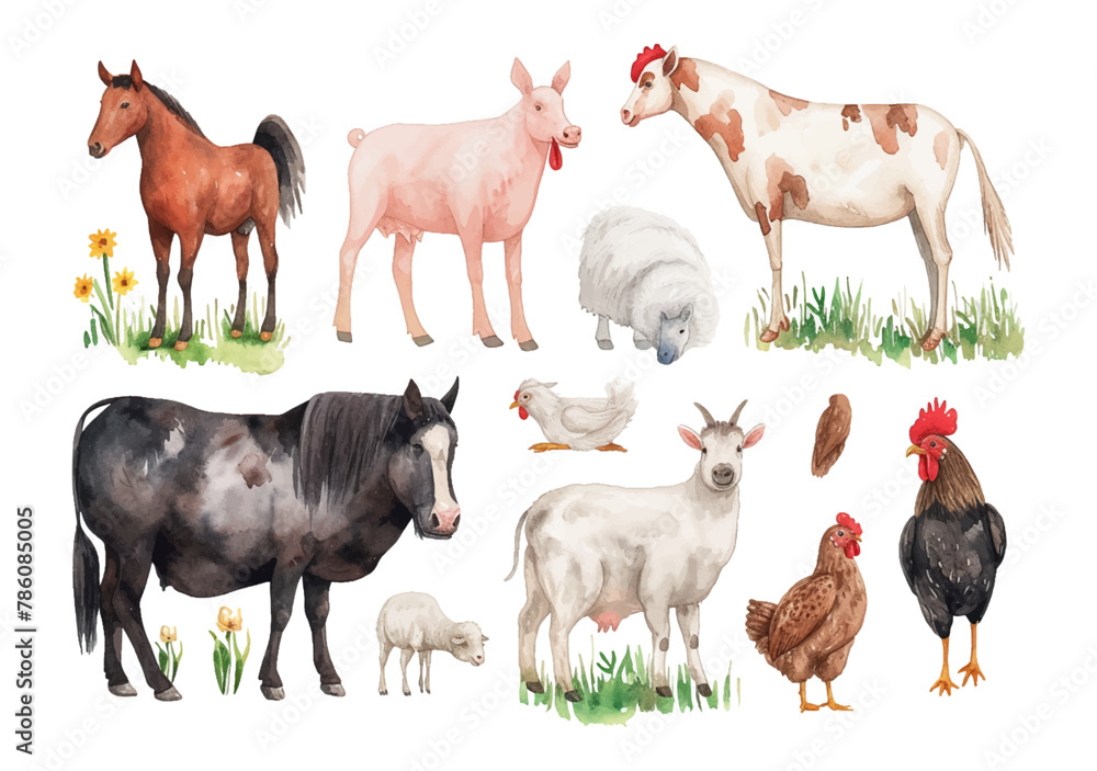 Animals meet types watercolor illustrations set, hand drawn ... Animals meet types watercolor illustrations set, hand drawn ...