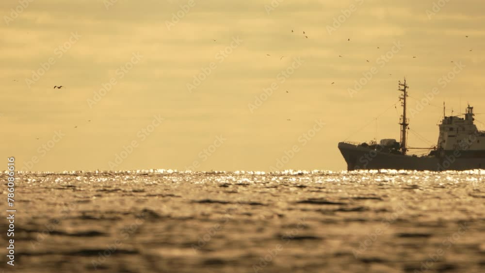 Abstract sea ocean sunset nature background with seagulls and fishing ...