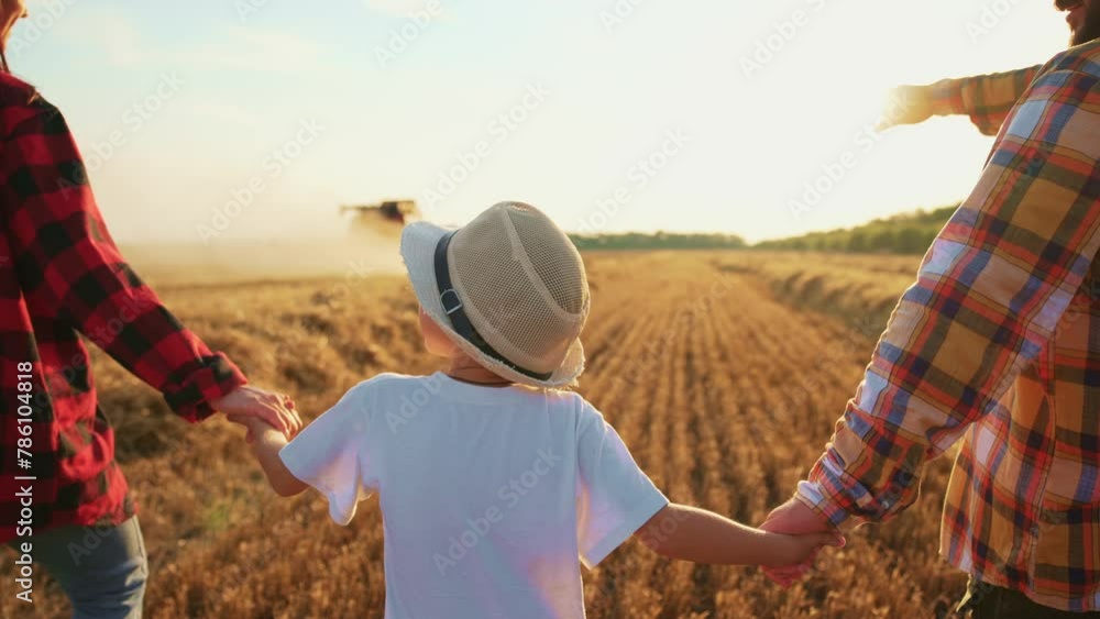 Family walking on wheat field on farm. Back view parents boy holding ...