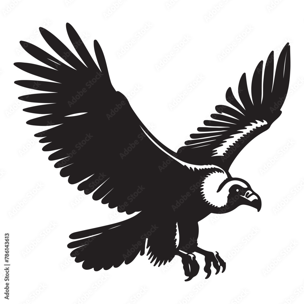 Condor bird, black silhouette on a transparent background, vector ...