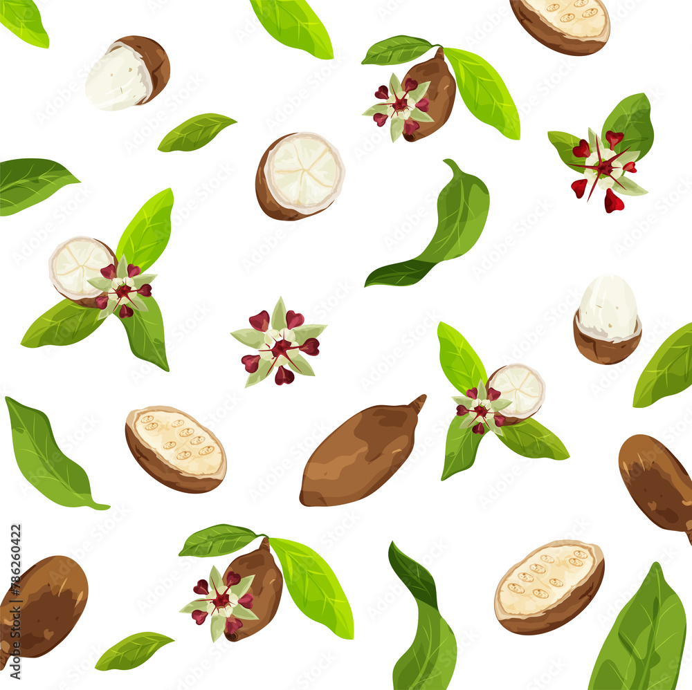 Seamless pattern of Cupuaçu (Theobroma grandiflorum),or cupuassu and ...