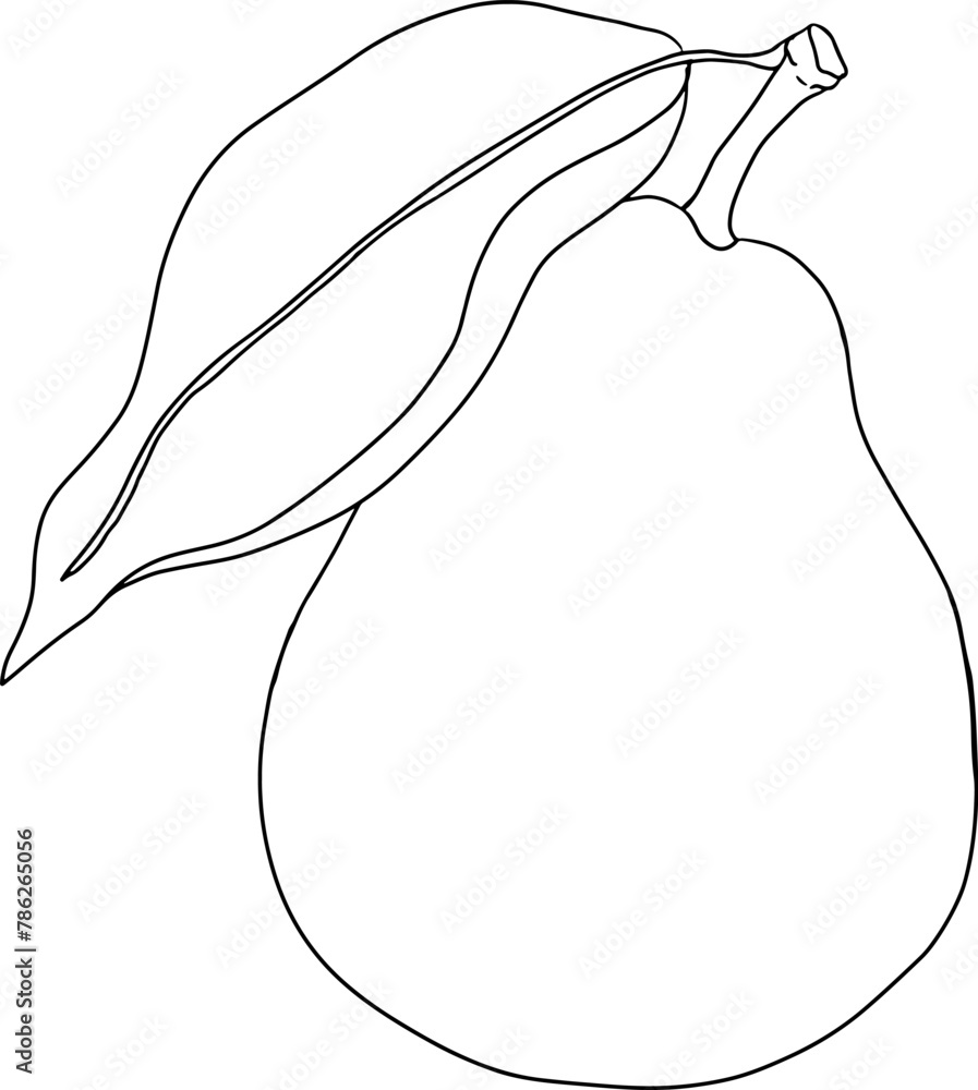 Hand drawn, line fresh pears. Pear outline drawing for coloring pages ...
