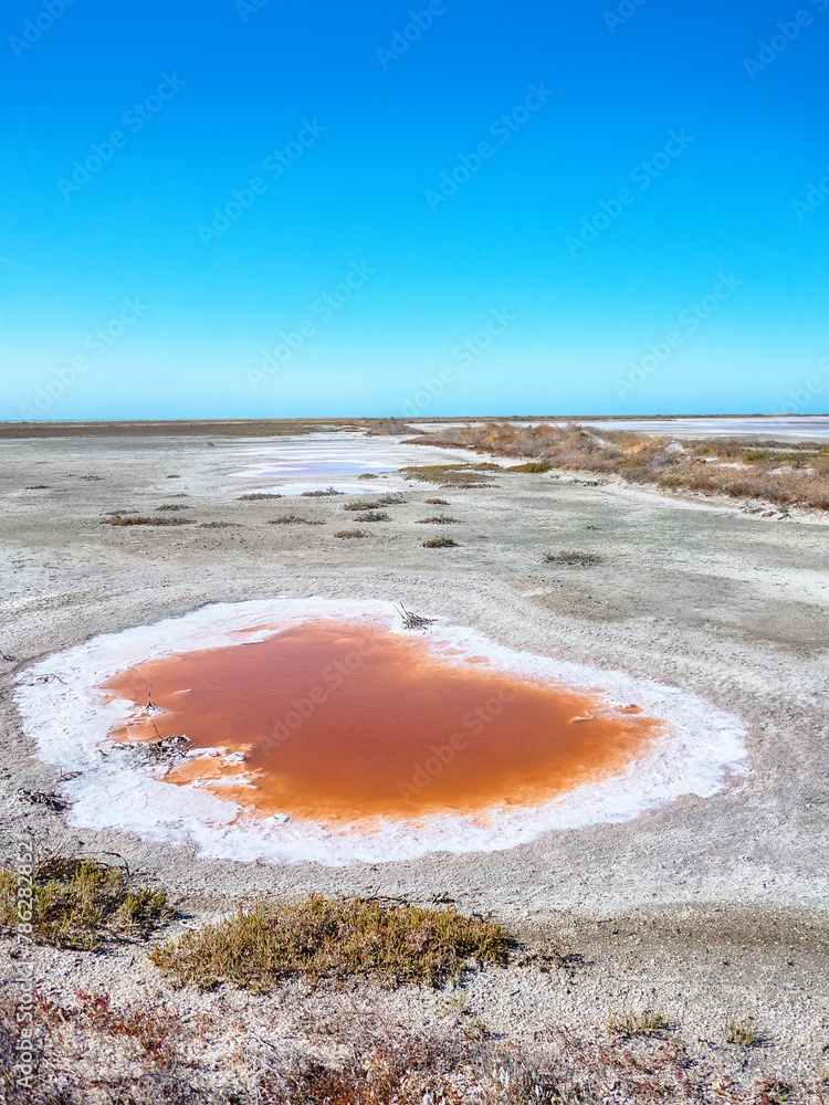 Subsidence funnels on salt marsh are filled with lakes of diverse ...