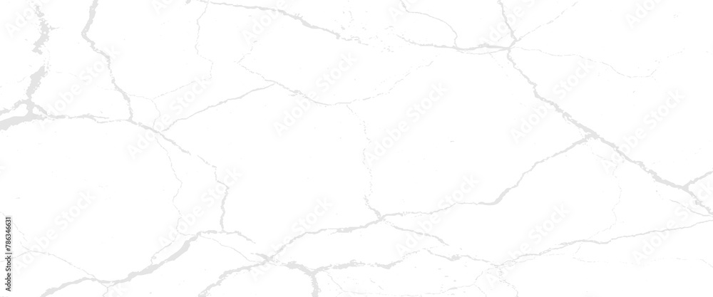 Vector panoramic white Carrara marble stone texture or design art work ...