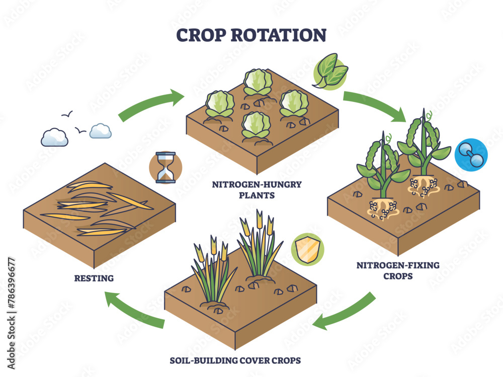 Crop rotation as sustainable soil fertility and resting cycle outline ...