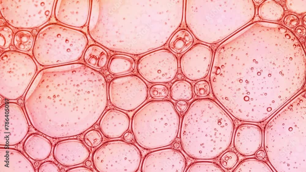 Transparent cosmetic gel fluid with molecule bubbles oil distribution ...