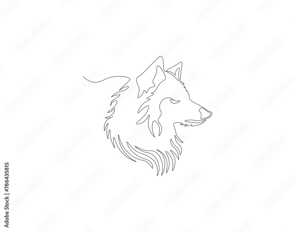 Continuous line drawing of wolf head. One line of wolf head. Mammals ...