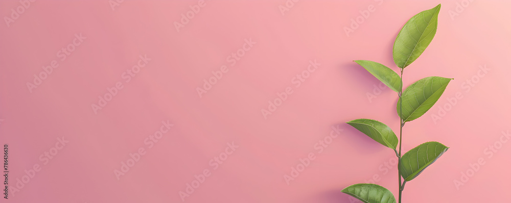 Growth graph web banner. A growth graph isolated on pink background ...