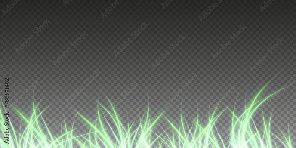 Grass border, vector illustration. Vector grass, lawn. Grass png, lawn ...