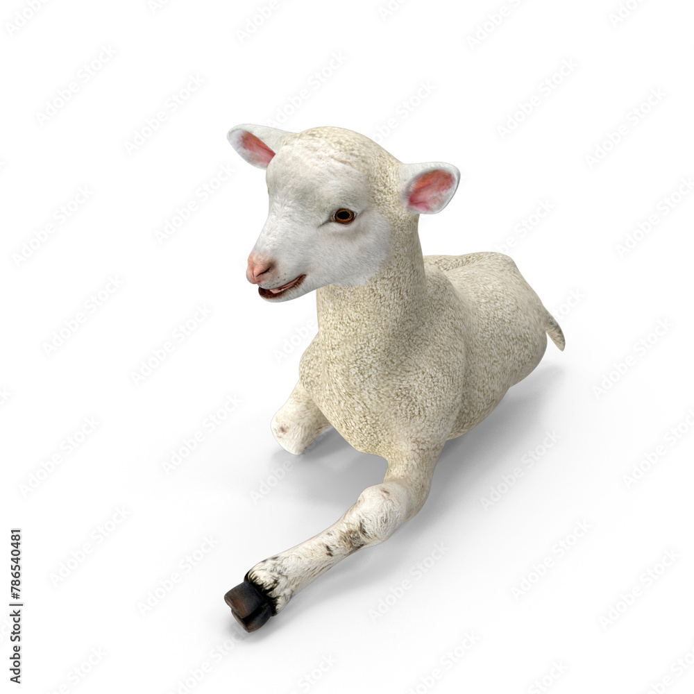 Realistic Lamb Pose 3D Model PNG - Ideal for Veterinary Training and Educational Farm Programs ...