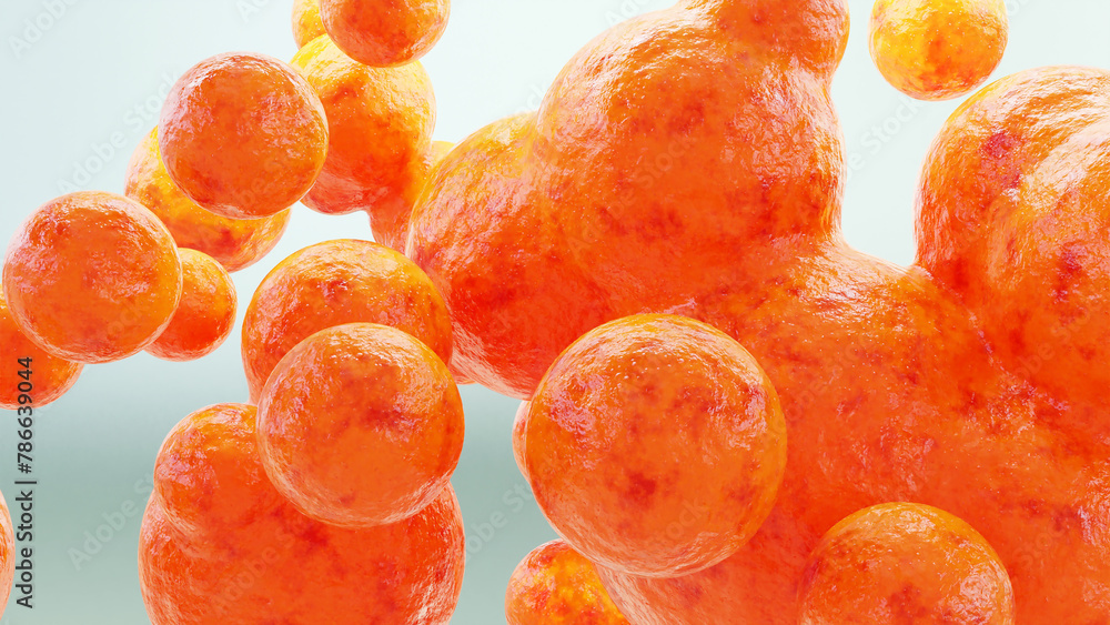 Fat cells, adipocyte and lipocyte, cholesterol in a cells, White fat ...