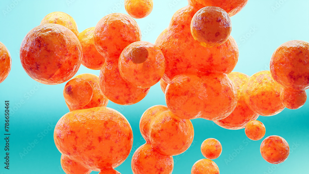 Fat cells, adipocyte and lipocyte, cholesterol in a cells, White fat ...